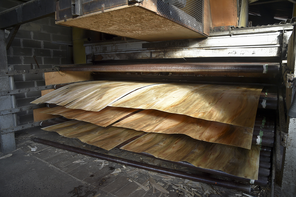 La fabrique du contreplaqué : l'expertise de Luce CONTREPLAQUE